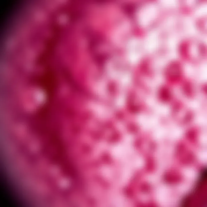 Microscopic Analysis of Esophageal Cancer